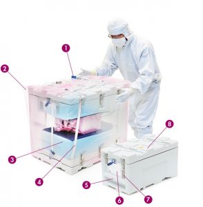 Custom Solutions for Critical Device Challenges | Pozzetta
